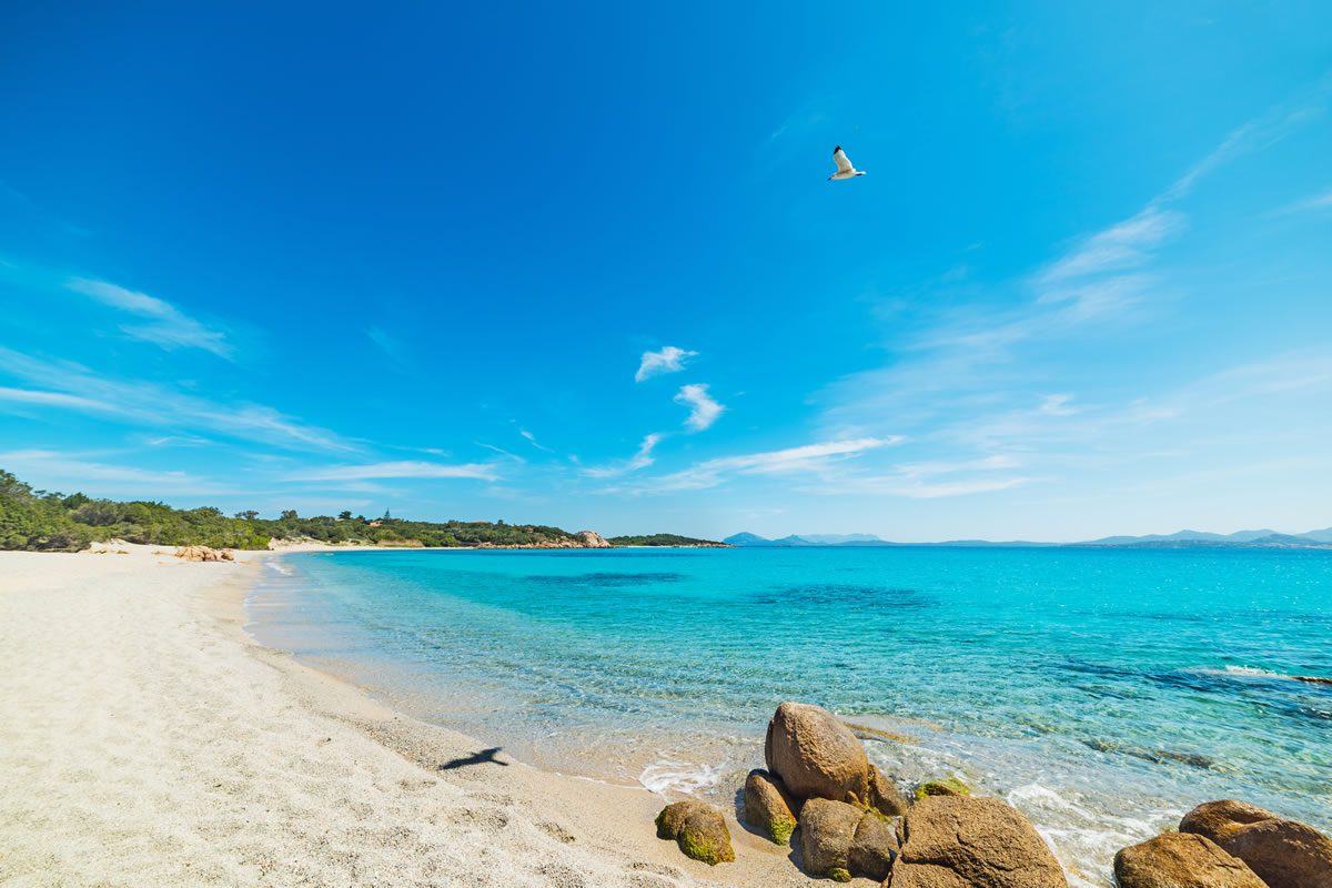 Visit Olbia, the Costa Smeralda and the north of Sardinia – Central Hotel